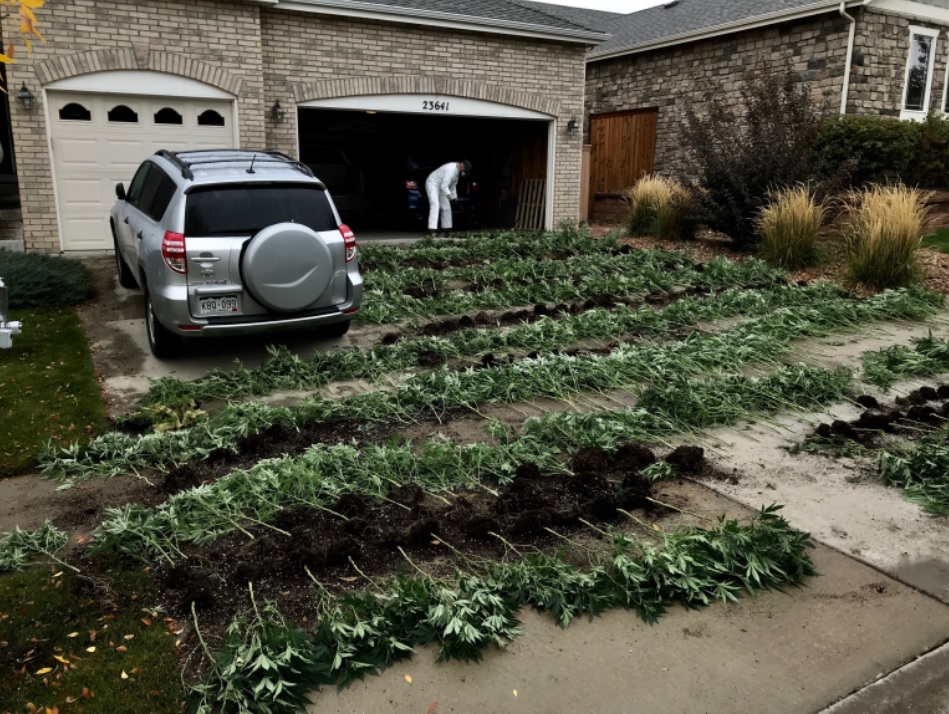 Marijuana Grow Houses: What are the Signs? | OurRealEstateGuy.com